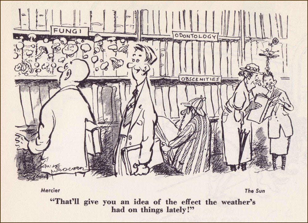 It’s Fungus Friday! – Who's Out There?